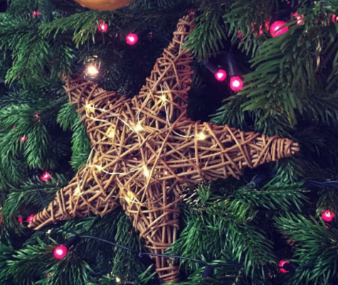 Willow Weaving Star - Hartlebury Castle